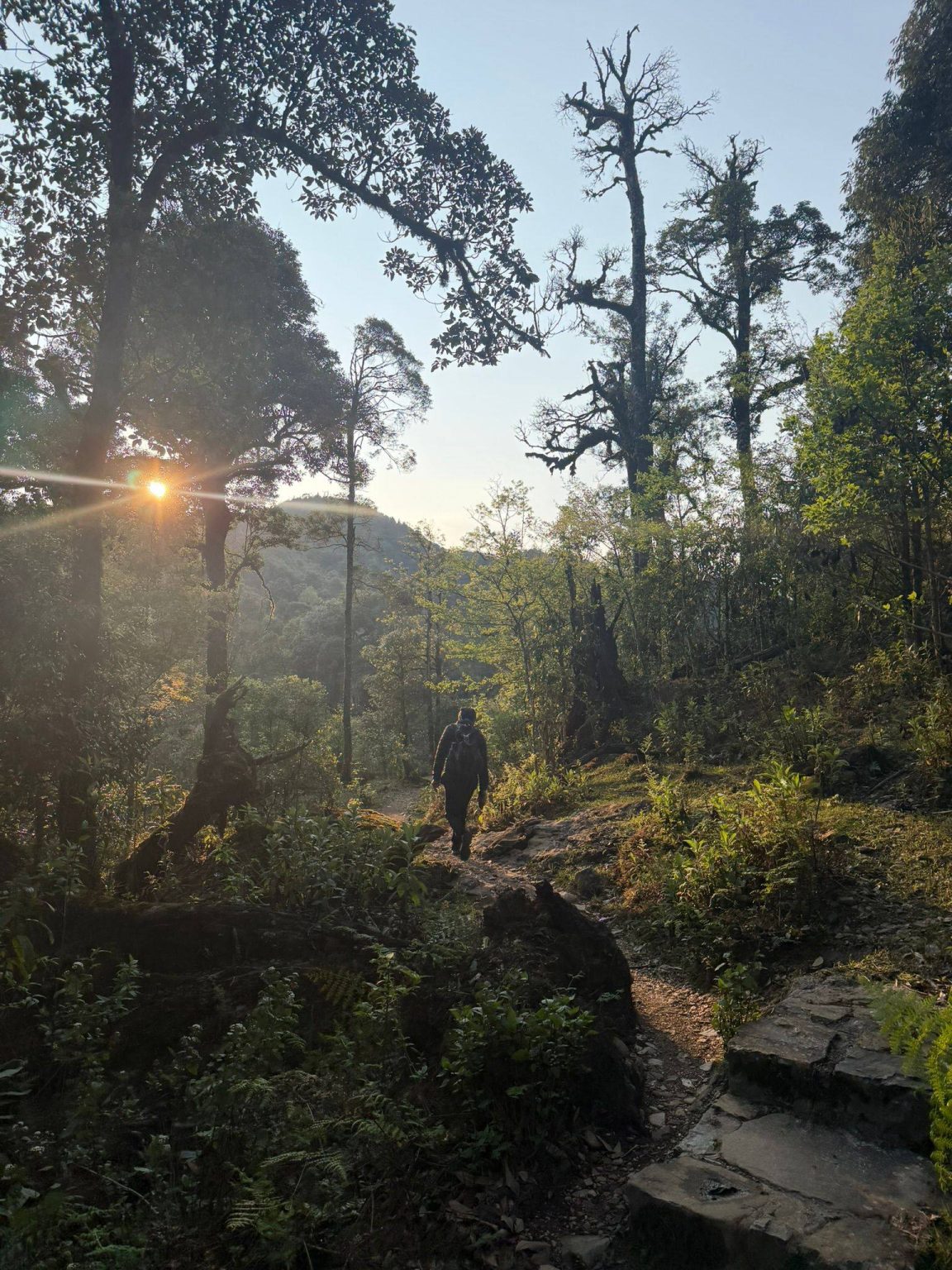 The ultimate guide to trekking Fansipan Mountain in Sapa